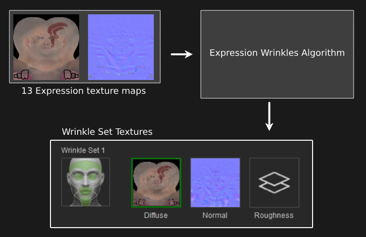 About Individualized and Generalized Wrinkles